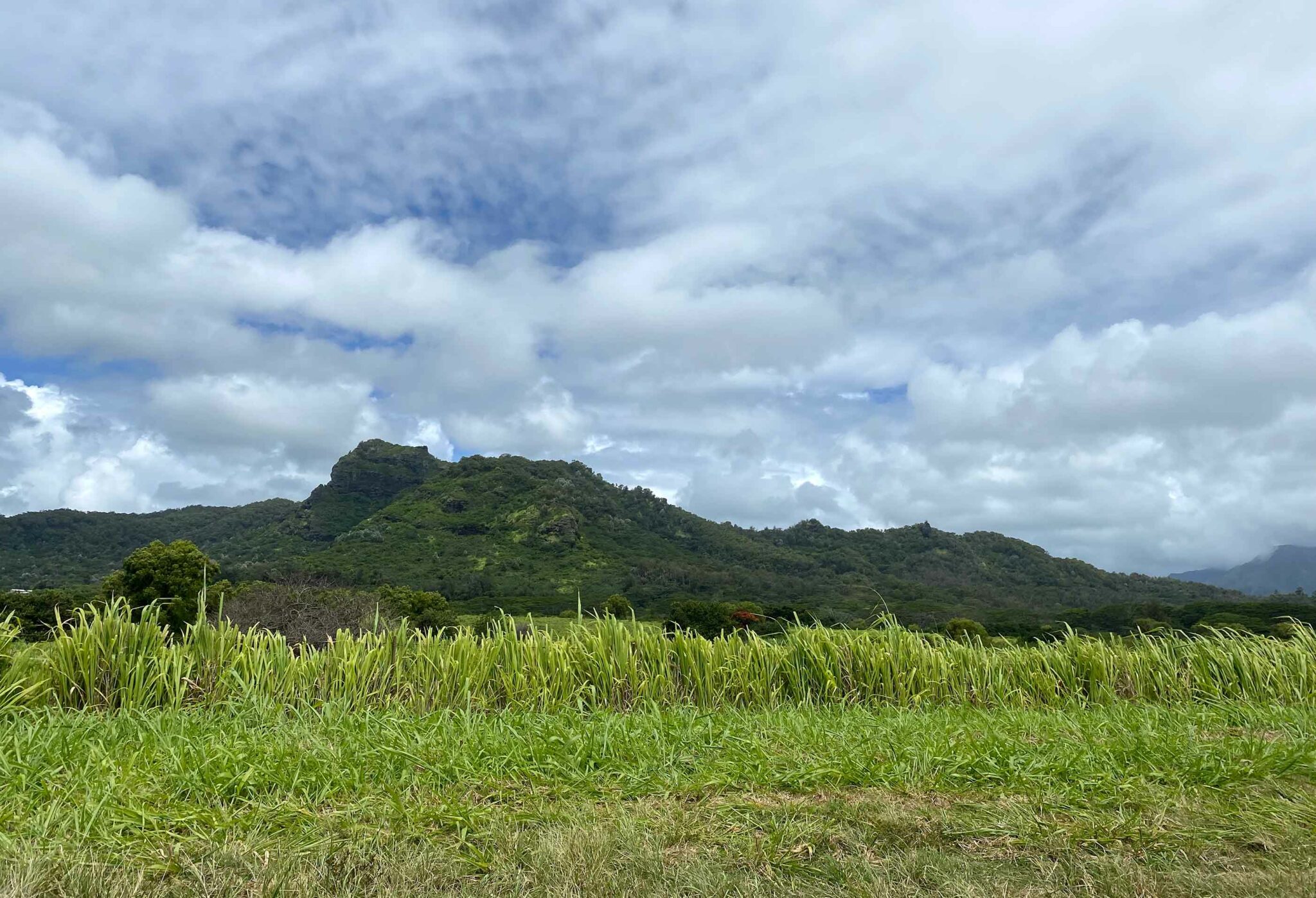 Nounou - Sleeping Giant - Wailua Heritage Trail